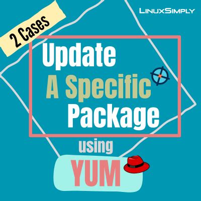 How To Update A Specific Package In RHEL Using YUM 2 Cases LinuxSimply