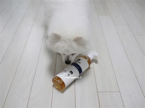 미끄럼방지제 핏펫몰 닥터설 논슬립 스프레이 네이버 블로그