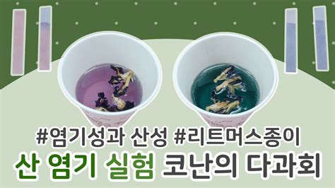 산과 염기 실험 코난의 어색한 다과회 Youtube