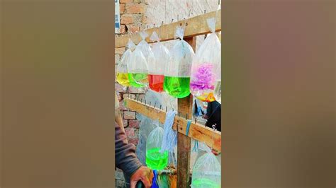 Java Finch Ka Nesting Material Ky Aya Youtube