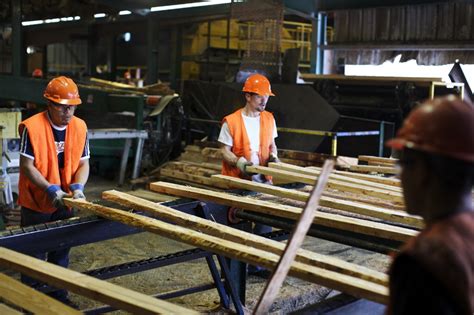 West Coast Log And Lumber Exports Jumped In With China As The Major Destination For Both