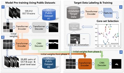 Annotation Efficient Learning For Oct Segmentation Pmc