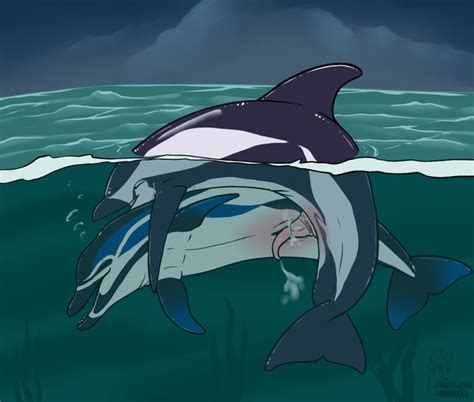 Rule 34 2019 Anal Anal Sex Cetacean Delphinoid Duo Erection Feral