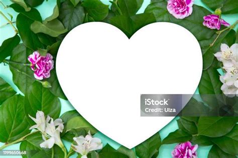파스텔 배경에 꽃 잎과 종이 하트 파스텔과 창조적 인 레이아웃 휴일 개념 플랫 레이 상단 보기 성 발렌타인 데이와 함께 0명에 대한 스톡 사진 및 기타 이미지 Istock