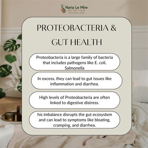 What Is Proteobacteria And Why Does It Matter For Gut Health Naria Le Mire Nutrition Llc