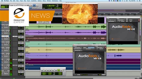 Speech Intelligibility Production Expert