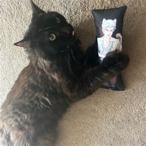 Custom Dnd Class Cat Sticker Pack Dnd Cat Stickers Dnd Stickers