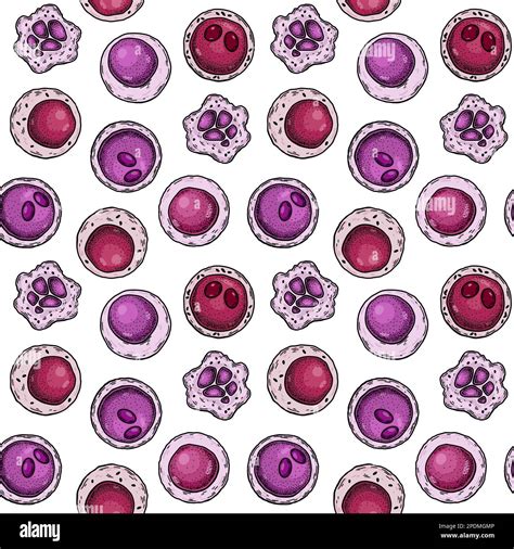 Stem Cell Seamless Pattern Hand Drawn Vector Illustration In Sketch