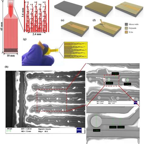 Microelectrode Array Mea For Recording Ecog Signals A Schematic Of Download Scientific