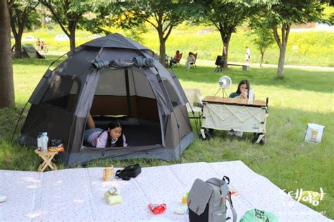 모기포집기 야외포충기 유인 퇴치 기계 아이있는집에서 쓰기 좋은 해피홈 네이버 블로그