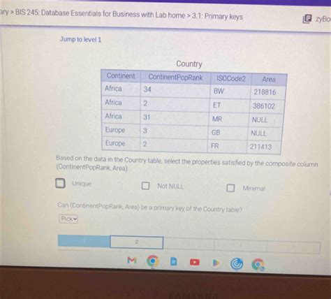 ary bis 245 database essentials for business with lab home 3 1