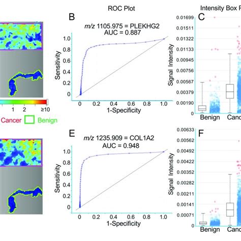 Pbmc Isolation Protocol Download Scientific Diagram