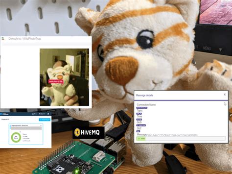 Phototrap With Object Detection Alarm