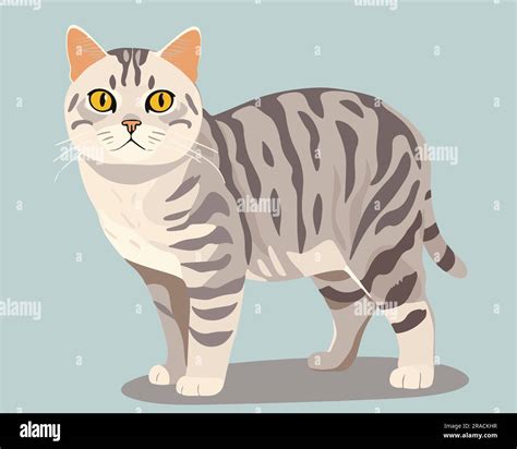 Standing American Cat Vector Illustration Stock Vector Image And Art Alamy