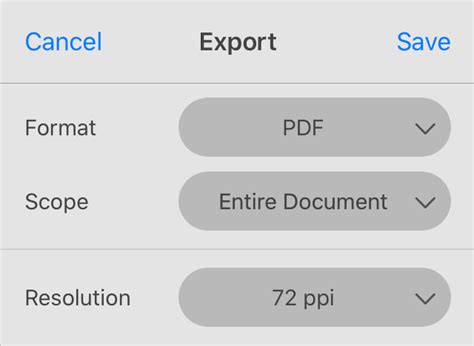 The Export Panel Amadine For Ios And Ipados
