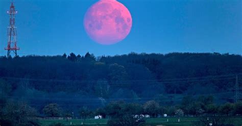 Llega La Superluna Rosa De Abril Qué Es Y Cuándo Verla Infobae