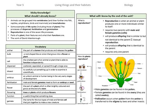 Primary Science Resources
