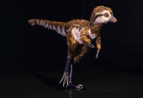 Worlds Most Scientifically Accurate T Rex Model Now On Display In New