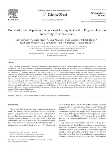 Pdf Oocyte Directed Depletion Of Connexin43 Using The Cre Loxp System Leads To Subfertility In