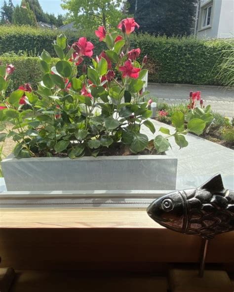 Sun Sun Chaba Thaï Massage Siam Pedicure And Manicure