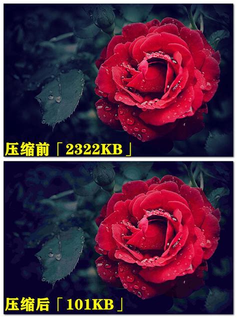 如何在不改变图片尺寸的情况下，极致的压缩图片大小？ 知乎