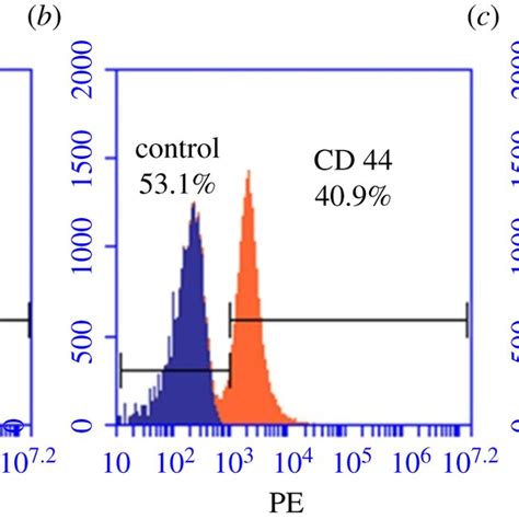 Flow Cytometry Lung Csc Characterization Fl Protein Detection Using