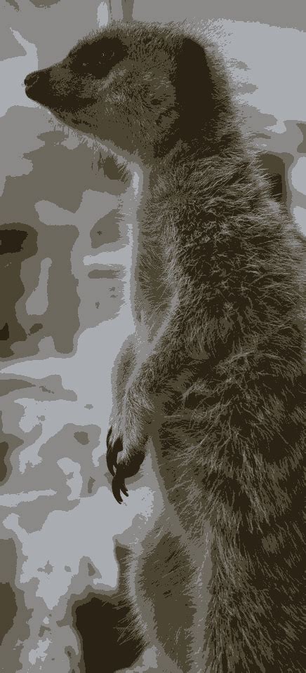 K Means Image Color Quantization Daniels Assorted Musings