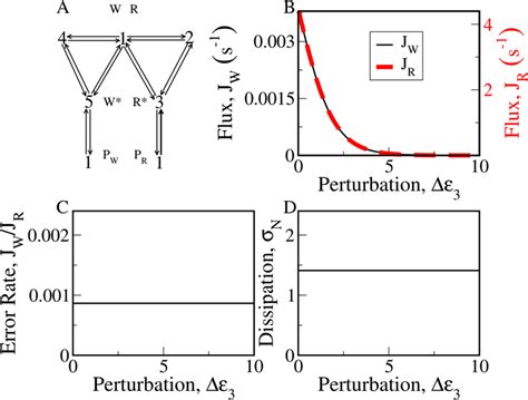 Steady State Fluxes And Their Ratios For The Biochemical Network Of Kpr