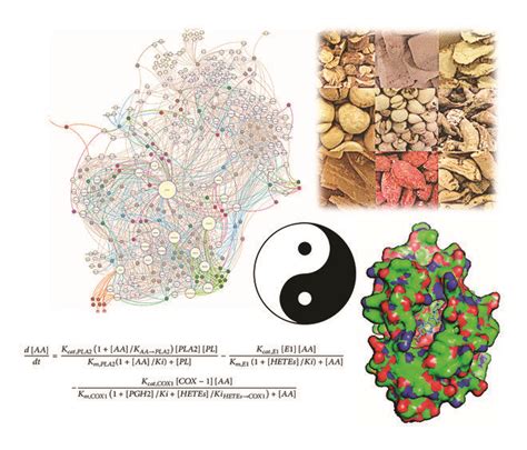 An Illustration Of Chinese Herbal Medicine And Some Computational Download Scientific Diagram