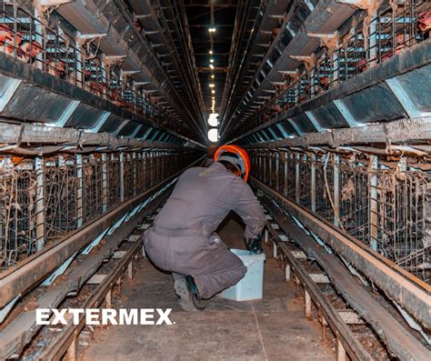 Foto Manejo Integrado De Plagas De Extermex Manejo Integrado De Plagas