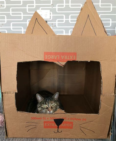 Заказчик доволен котэ прикольные картинки с кошками смешные картинки и другие приколы