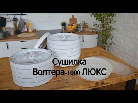 Сушилка для фруктов и овощей Волтера-1000 ЛЮКС - YouTube