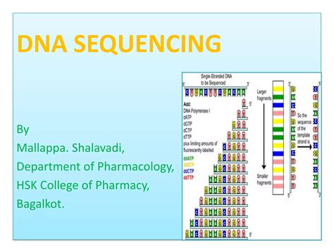 Dna Sequencing Pptx
