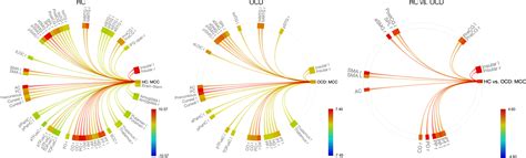 Aberrant Functional Connectivity Of Neural Circuits Associated With Thought Action Fusion In