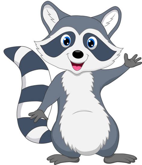 21 000 Raccoon Stock Illustrations Royalty Free Vector Graphics