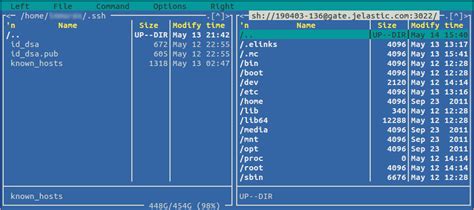 SFTP And FISH Protocols For Accessing Jelastic Containers Via SSH