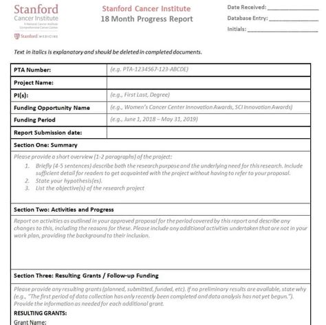 Official Progress Report Templates In MS WORD Excel Format