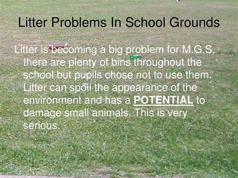 Questions About Littering In School At Jai Patrick Blog