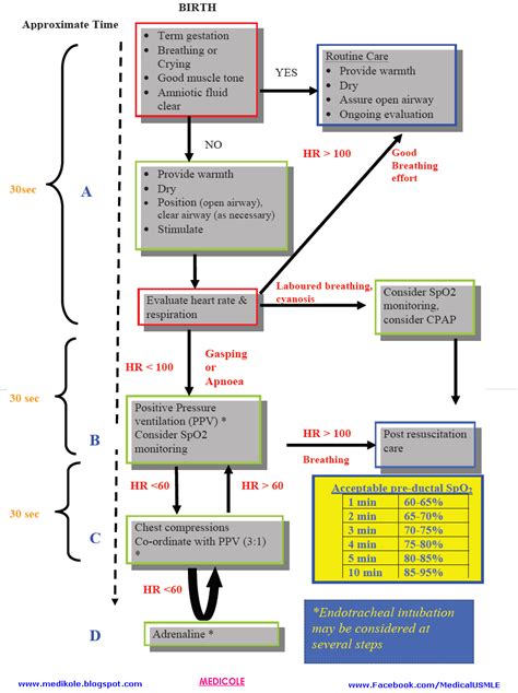 Printable Nrp Algorithm