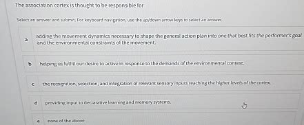 Solved The Association Cortex Is Thought To Be Responsible Chegg Com