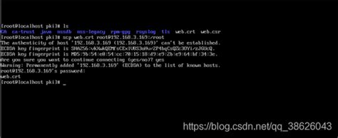 Centos7搭建ca服务器颁发ssl证书源ca系统颁发ssl证书 Csdn博客