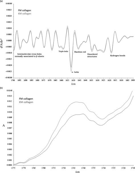 Second Derivate Of Fourier Transform Ir Spectroscopy Ftir Spectra Of