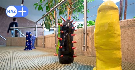 Immer öfter übertragen Menschen In Hannover Viren Und Bakterien Durch