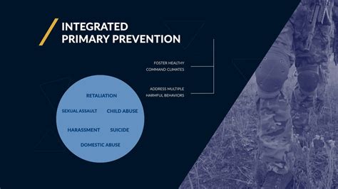 Dvids Video Integrated Primary Prevention