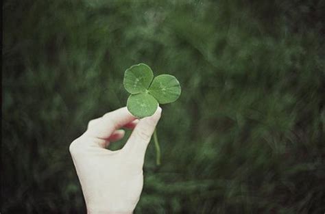 Kd Tree的原理及python实现 知乎