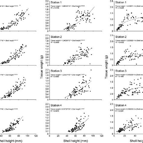 relationships between shell height shell weight and tissue weight of