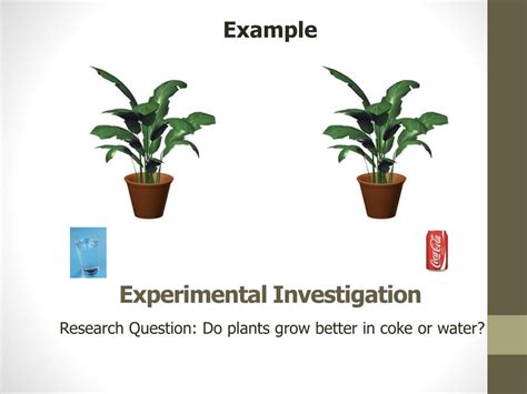 Ppt Scientific Investigation Powerpoint Presentation Free Download Id 1757189
