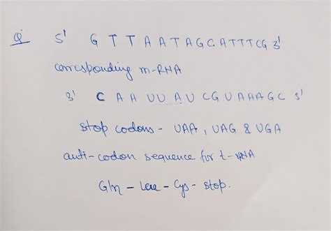 Solved Please Answer A D An Exon Of A Eukaryotic Protein Coding Gene Has The Following