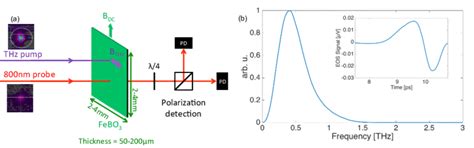 A Experimental Setup Of The Dynamically Resolved Terahertz