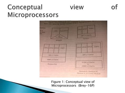 Ppt Microprocessor And Microcontrollers Cse 3511 Lecture 1